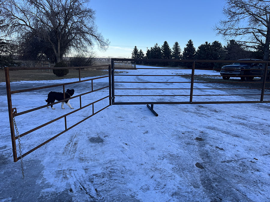 Free standing panels with gates - Post Pound Comander